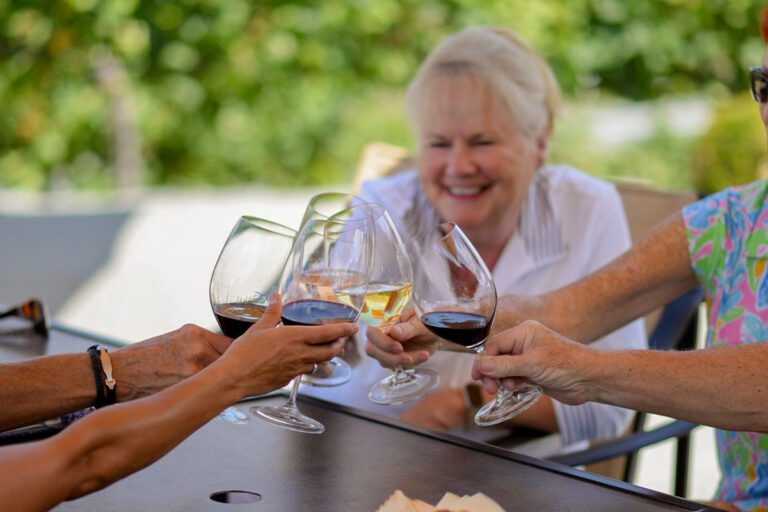 Tannins in Wine: Taste, Mouthfeel, and Quality Explained